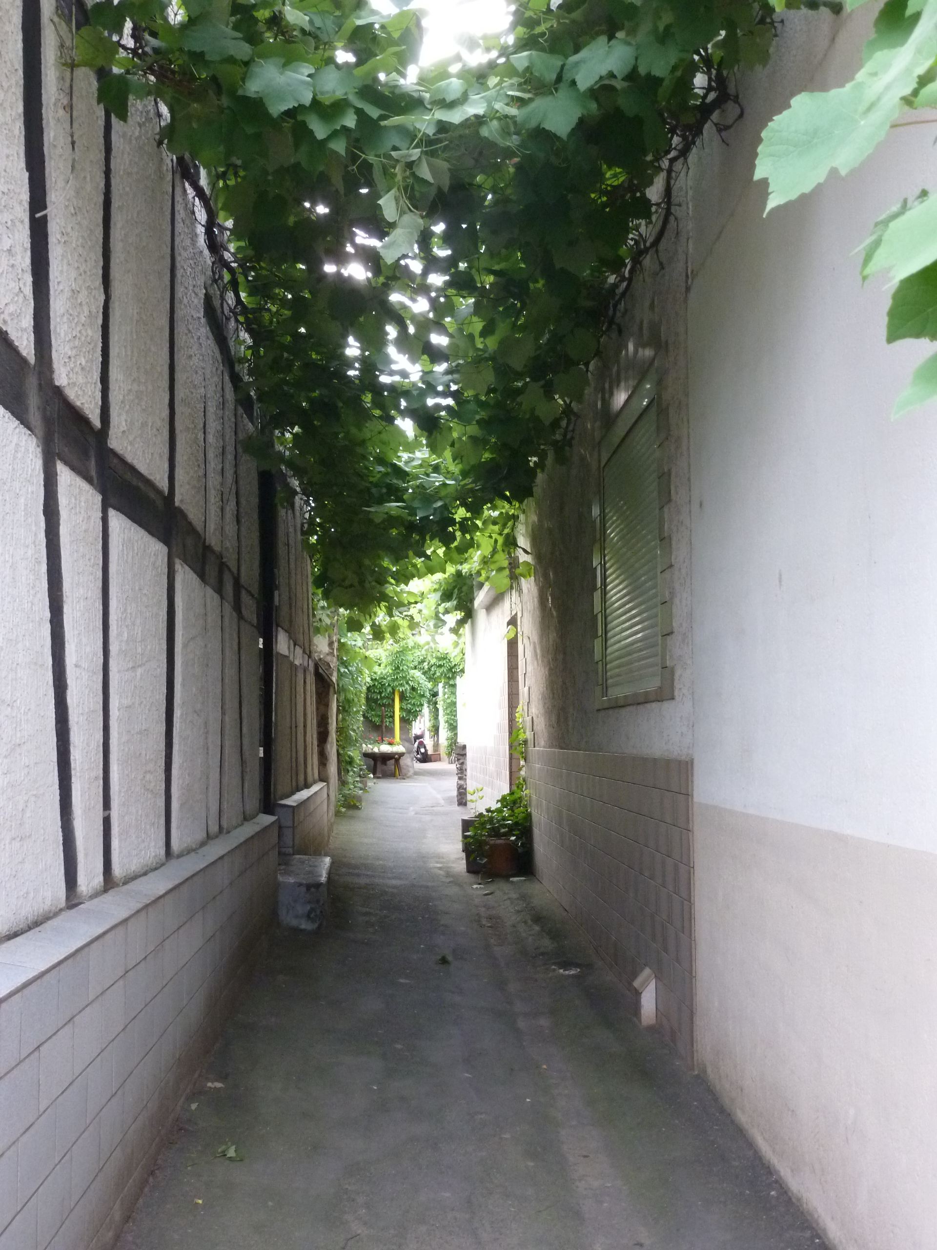 5 super ausgetsattete Ferienwohnungen direkt am Rhein in Koblenz